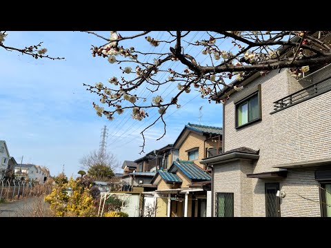 Japanese countryside village - Winter walking tour in Saitama | Japan Walk @Explore-Japan