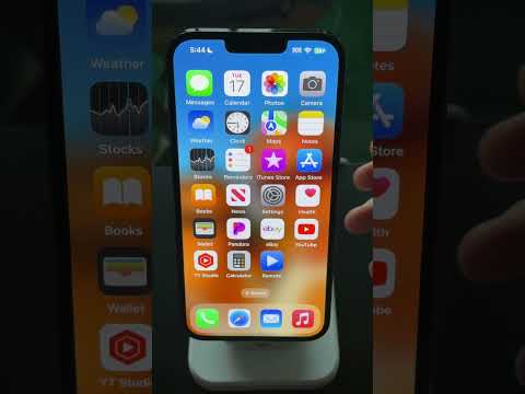 What iPhone Do I Have?