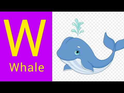 words that start with letter W || W words || learning videos for toddlers