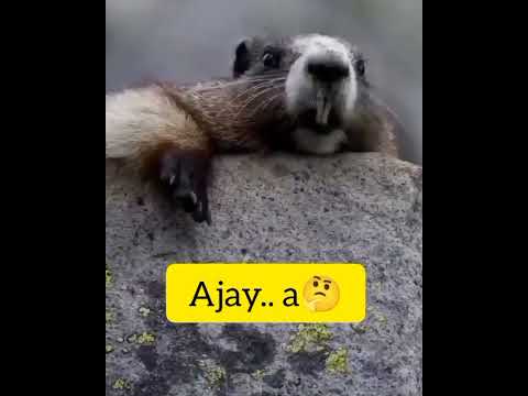 Ajay #whatsappstatustamil #saravanakrishna #astrology #emotionalstatus #shorts #life #name #tamil