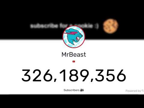 Mr. Beast Realtime YouTube Live Subscriber Counter.