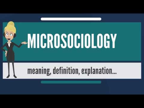 What is MICROSOCIOLOGY? What does MICROSOCIOLOGY mean? MICROSOCIOLOGY meaning & explanation