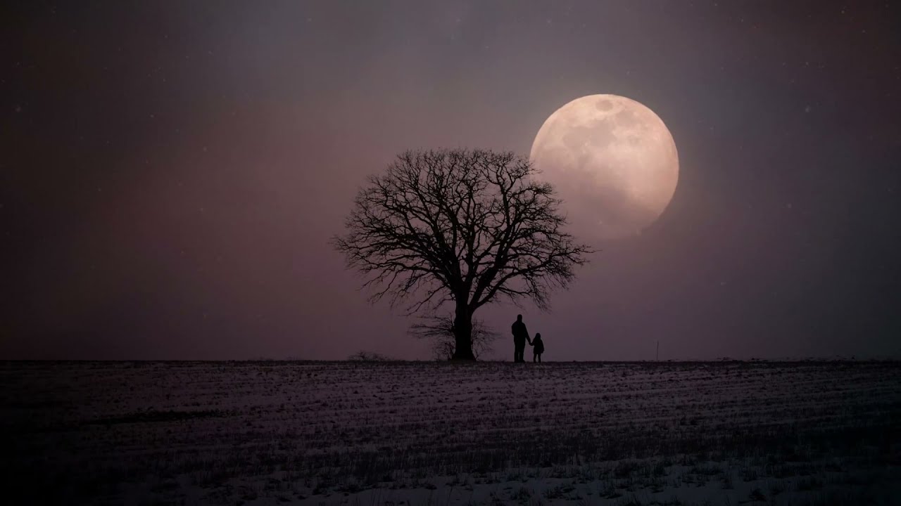 Lone Tree HD 1080p wallpapers | Download links Included | Wallpaper for PC | Latest wallpapers 2021