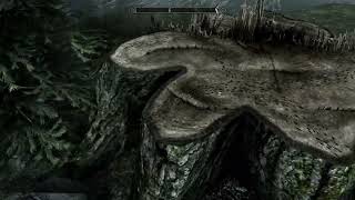 Took me 10 freaking years to realize there are ants on these tree stump ...