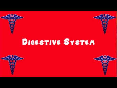 Pronounce Medical Words ― Digestive System