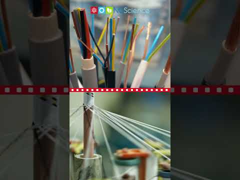 Electrical Conductors and Insulators #shorts