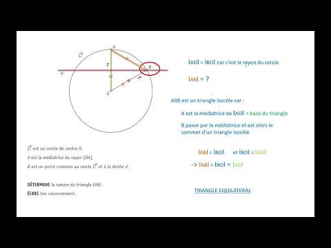 CE1D Math 2022 - question 12 - Distances et droites remarquables