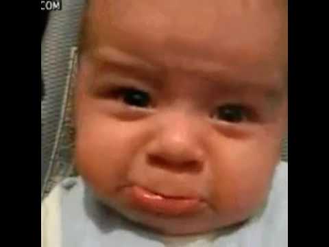 Funny GIFs