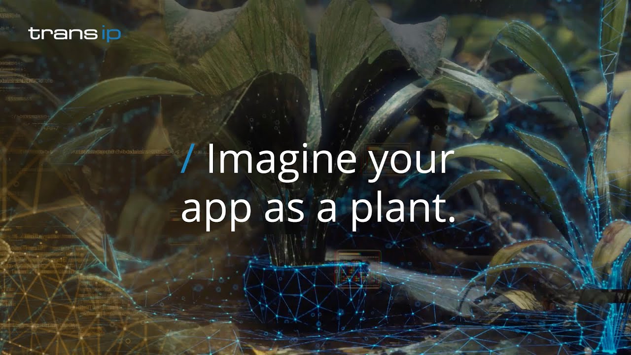 TransIP - Imagine your app as a plant