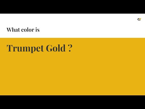 Trumpet Gold color #e9b413 hex color - Yellow color - Cool color e9b413