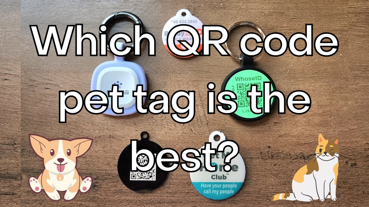 Which QR code pet tag is the best?
