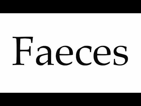 How to Pronounce Faeces