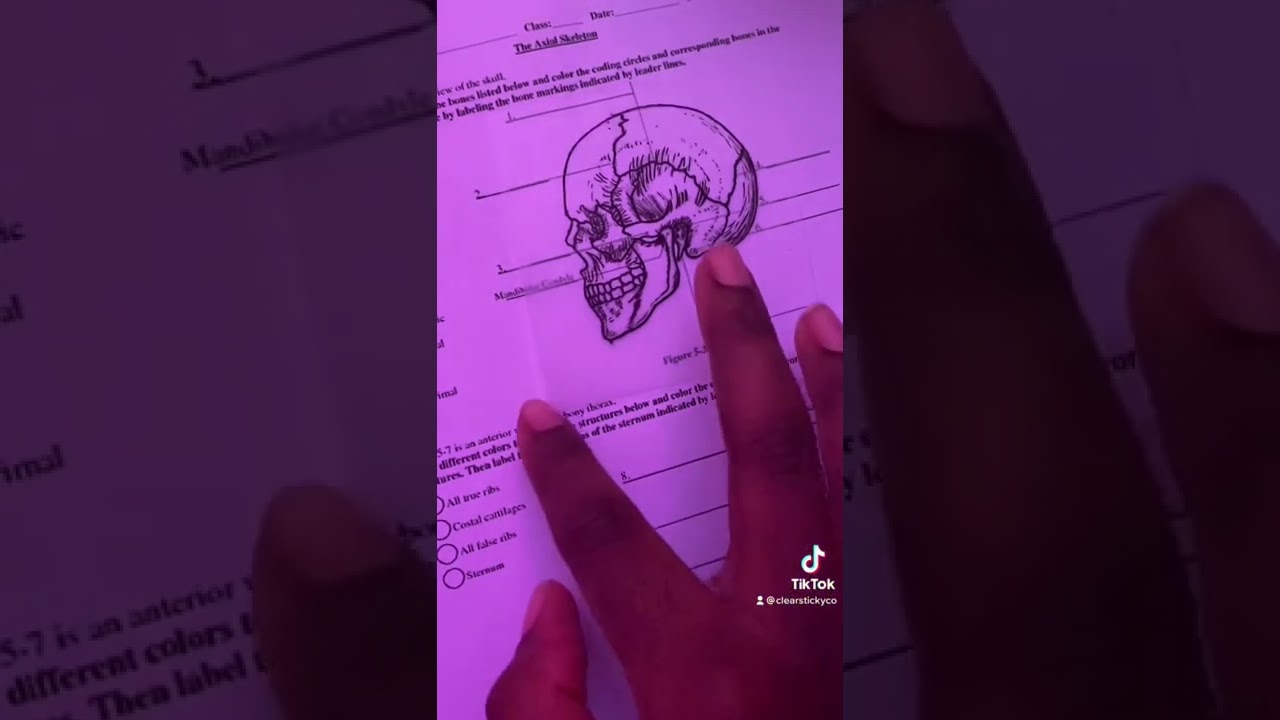 ClearStickyCo - Clear Sticky Notes