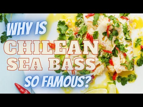 Why Is Chilean Sea Bass So Famous?