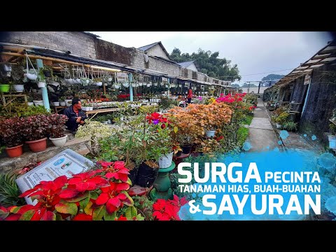 PASAR KOPENG SEMARANG TERBARU 2022