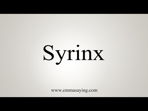 How To Say Syrinx