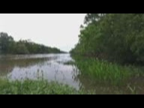 NASA studies Mississippi River delta region