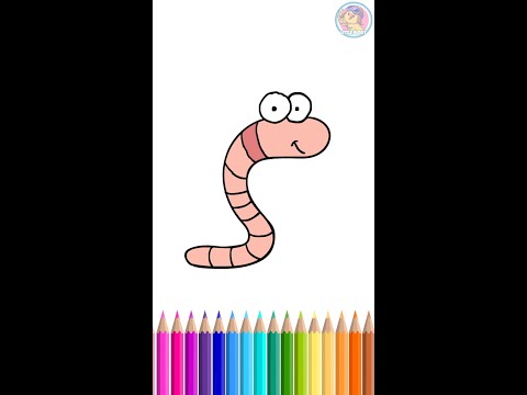 How to draw a Worm