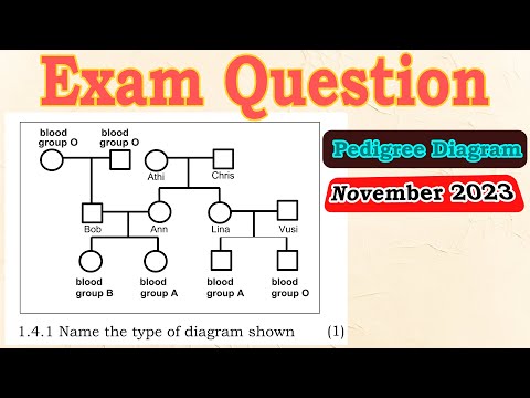 Exam Question | Genetics | Life Science grade 12 | A pedigree diagram