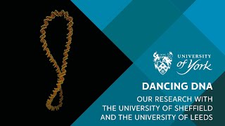 Imagens em alta resolução revelam a "dança do DNA" nas células; confira ...