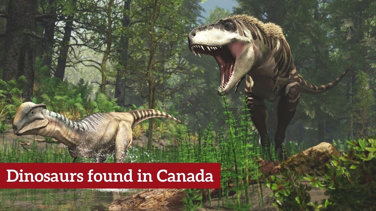 Dinosaurs Found in Canada