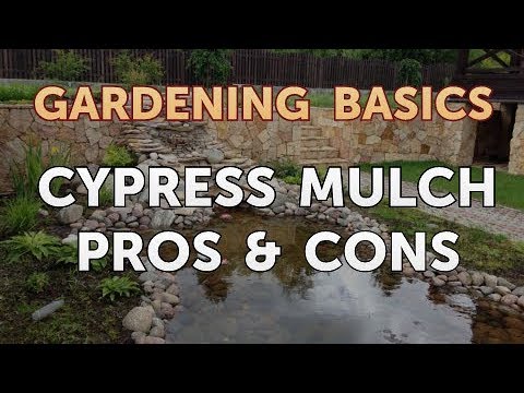 Cypress Mulch Pros & Cons