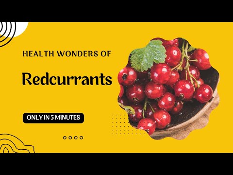 Health Benefits of Redcurrant
