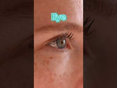 EYE - MEDICAL DEFINITION | Medical Consecutive Interpreting