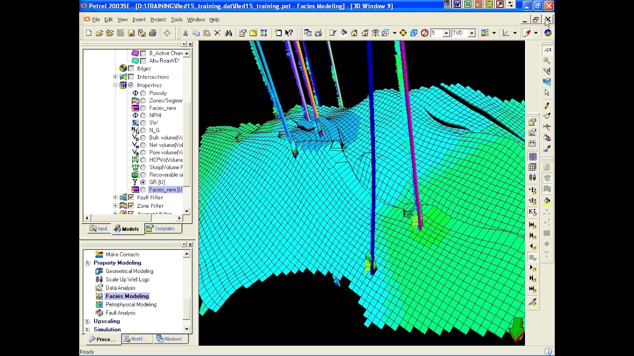 3 Facies model in3D