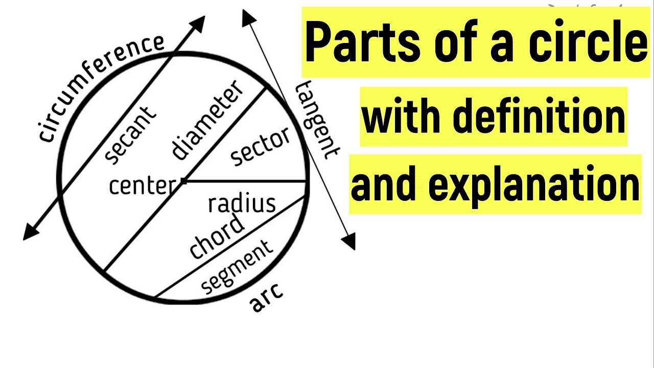 Parts of a circle with explanation | Learn the parts of a circle | Circle parts |