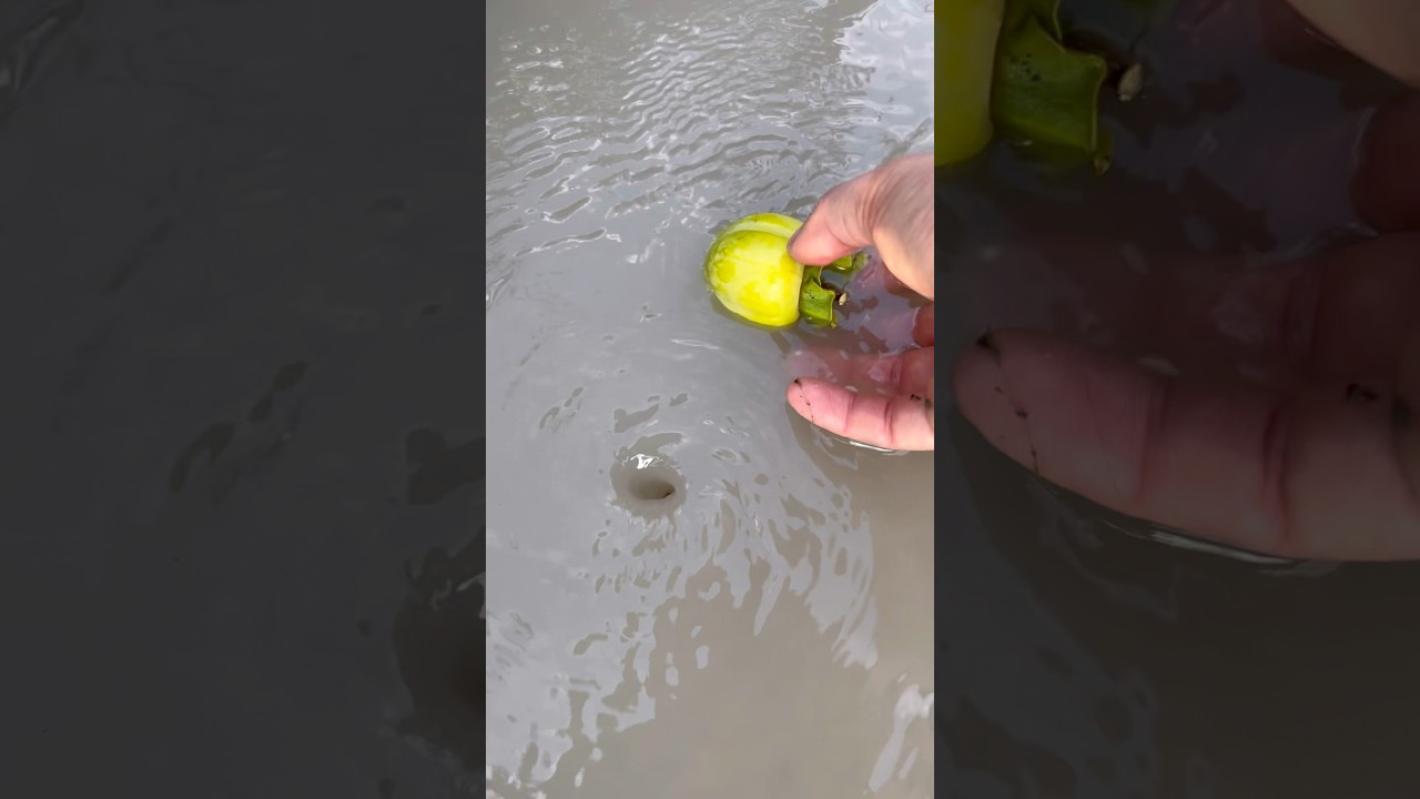 Vortex Experiment. #experiment #vortex #whrilpool #experiements #satisfying