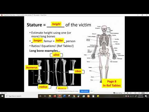 Forensic Anthropology Video Notes (2020)
