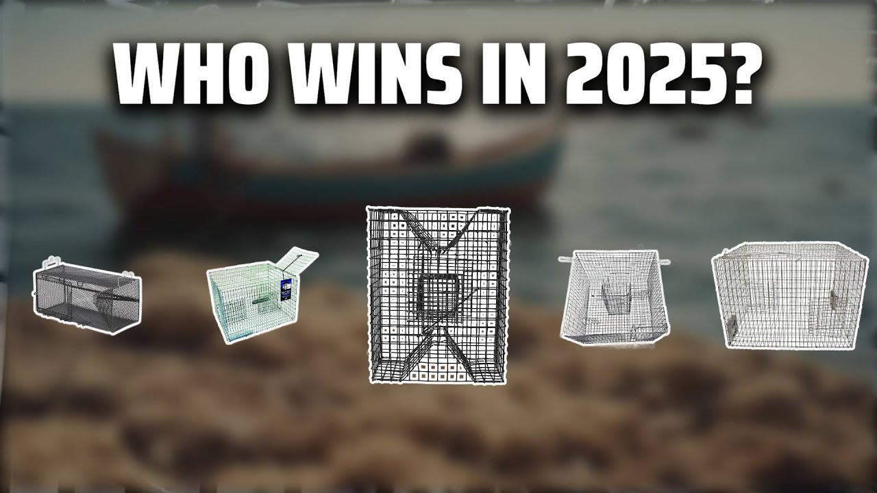 The Top 5 Best Pinfish Trap in 2025 - Must Watch Before Buying!