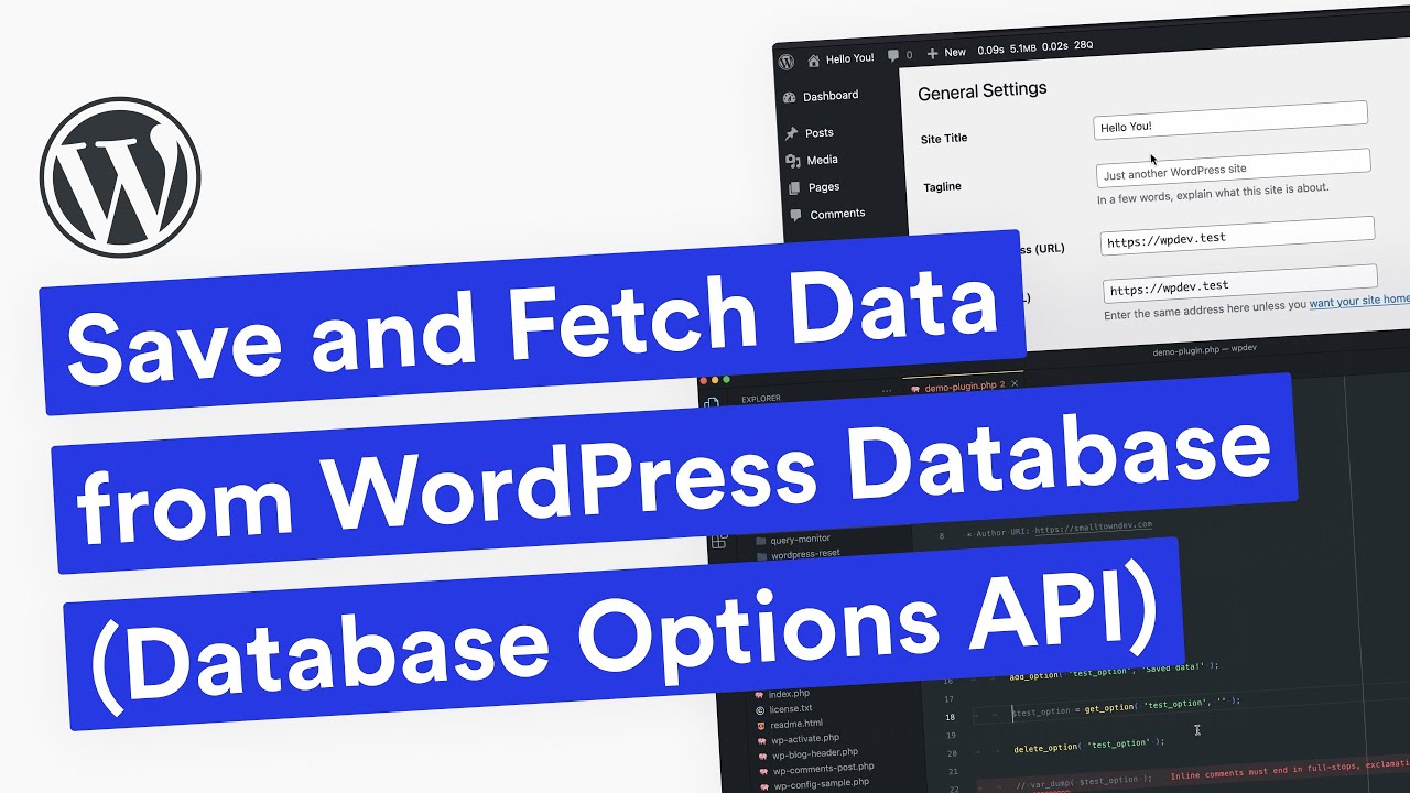 Save and Fetch data from WordPress Database using WordPress Options API