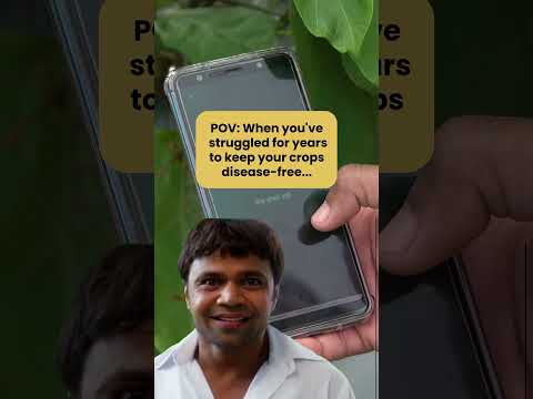 Plantix is here with instant solutions!