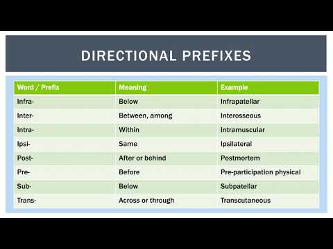 Anatomical Prefixes