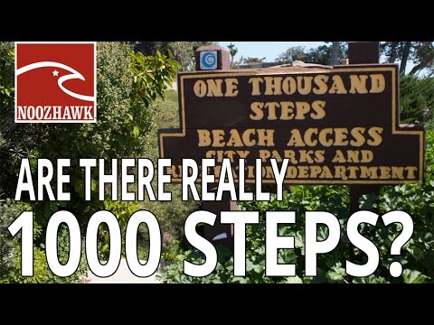 Are There Really 1,000 Steps? | Did You Know?
