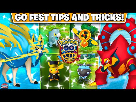 GO Fest 2025 Survival Guide: Best Gear, Top Spawns & Bag Cleanout Strategy!