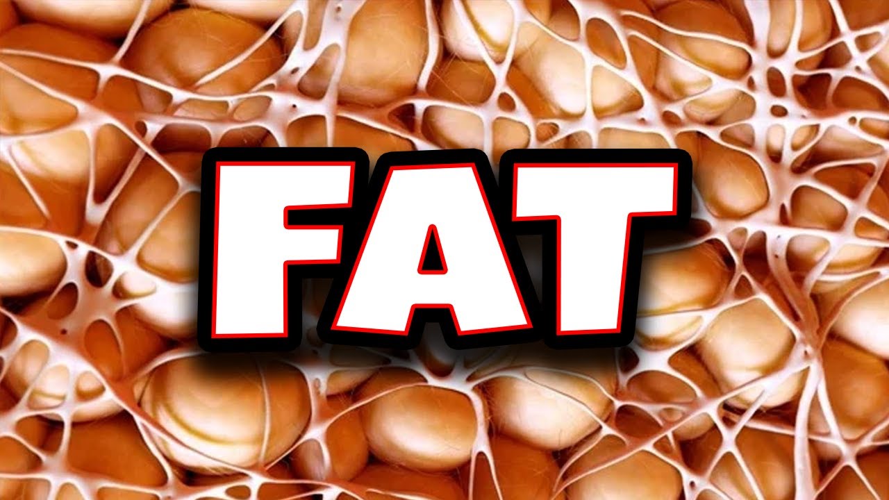 Understanding the New Research on Fat: Beyond Energy Storage | Galaxy.ai