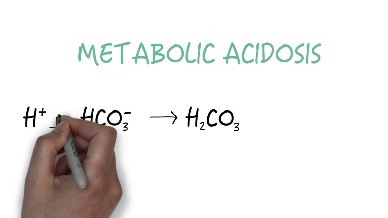 Bicarbonate - The Primary Buffer