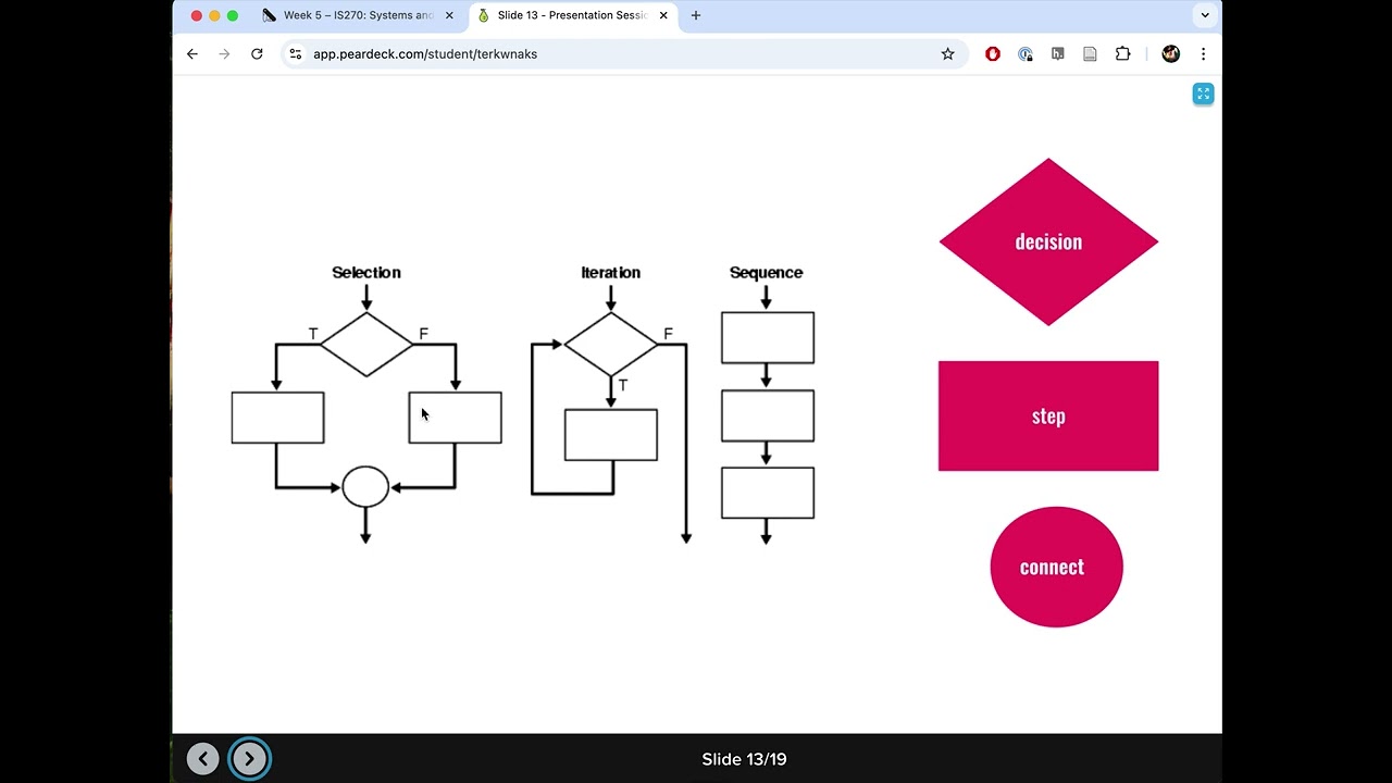 IS270 W5 Programming Foundations