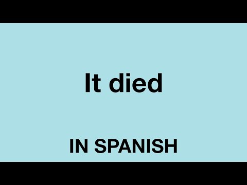 How To Say (It died) In Spanish