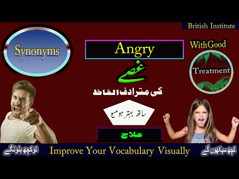 Angry Meanings & Synonyms with Treatment ll British Institute ll