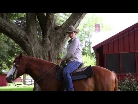 Diamond D Ranch Horseback Riding