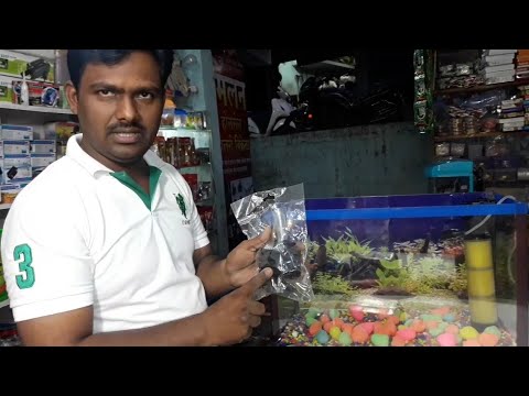 AQUARIUM decoration ideas Top cover, stand, ROCKS, Plants, Toys, lid ,Waterproof Lights