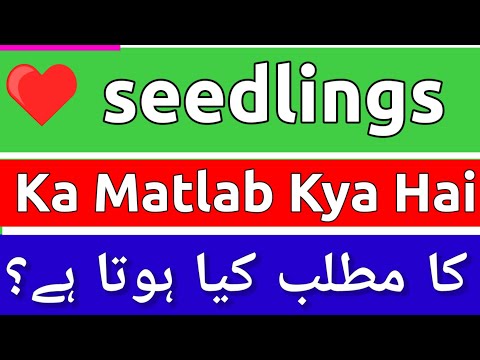 Seedlings Meaning In Urdu | Seedlings Ka Matlab Kya Hota Hai | Seedlings Ka Meaning Kya Hai |