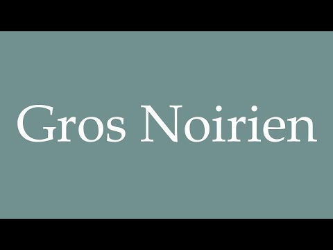 How to Pronounce ''Gros Noirien'' Correctly in French