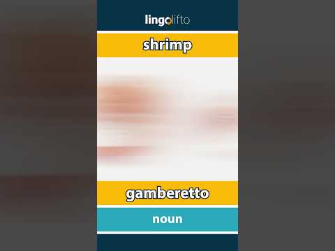 🇬🇧🇮🇹 shrimp - gamberetto : learn English : impariamo l'inglese : vocabulary builder