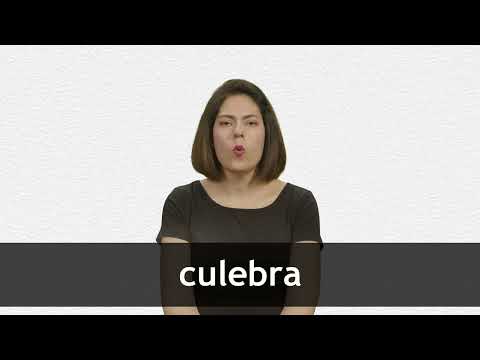 English Translation of “CULEBRA” | Collins Spanish-English Dictionary