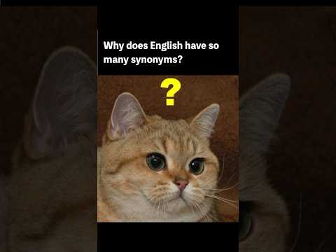 Why does English have so many synonyms meme. #shorts #english #cat #meme #jokes